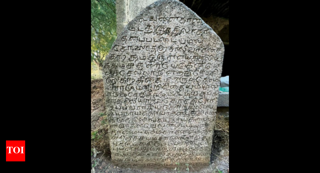 Tamil Nadu: 400-year-old stone inscription found | Chennai News - Times ...