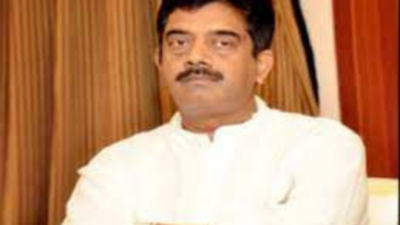 Goa: Won't have taken Cong MLAs if I had to decide, says Sadanand Shet ...