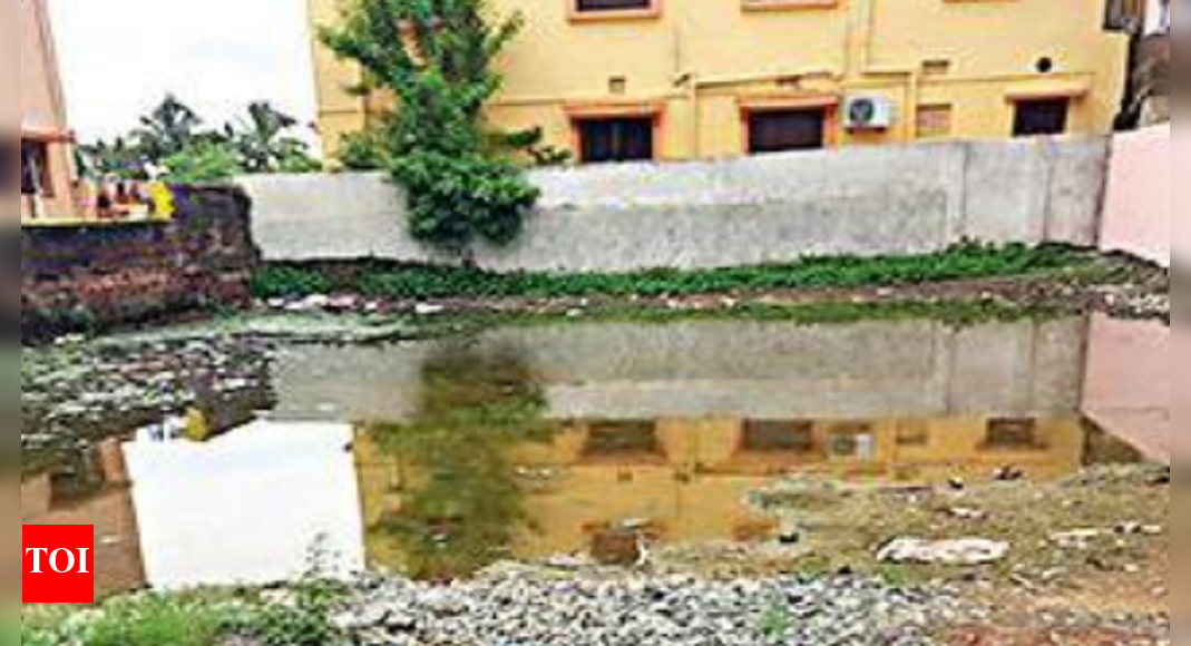Cuttack does well to control dengue | Cuttack News - Times of India