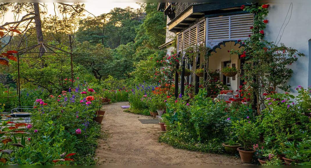 Homestays in India that are pure joy and warmth | Times of India Travel