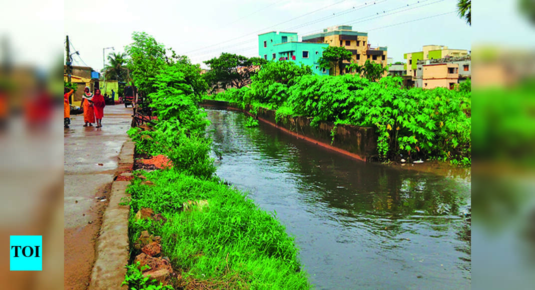 Gangua: Hc Seeks State Govt Plan To Check Pollution In Gangua ...