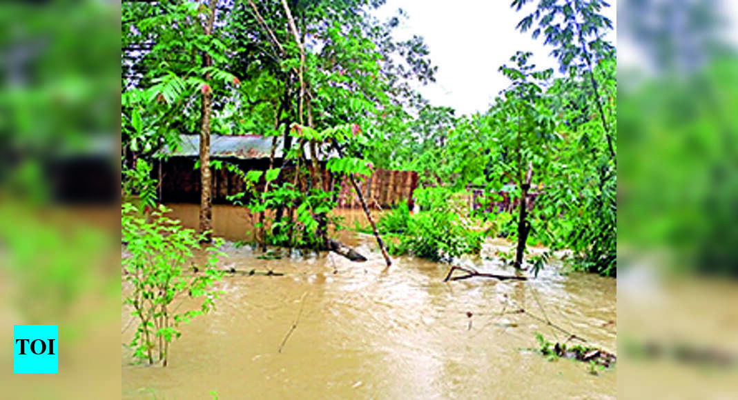 ‘assam’s Avg Temp Likely To Rise By Over 2 Degrees, Rain By 38% By Mid ...