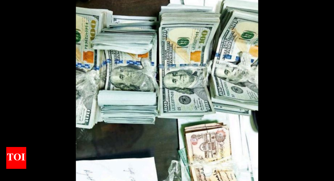 Man tries to smuggle US dollars, held at Bengaluru airport | Bengaluru ...