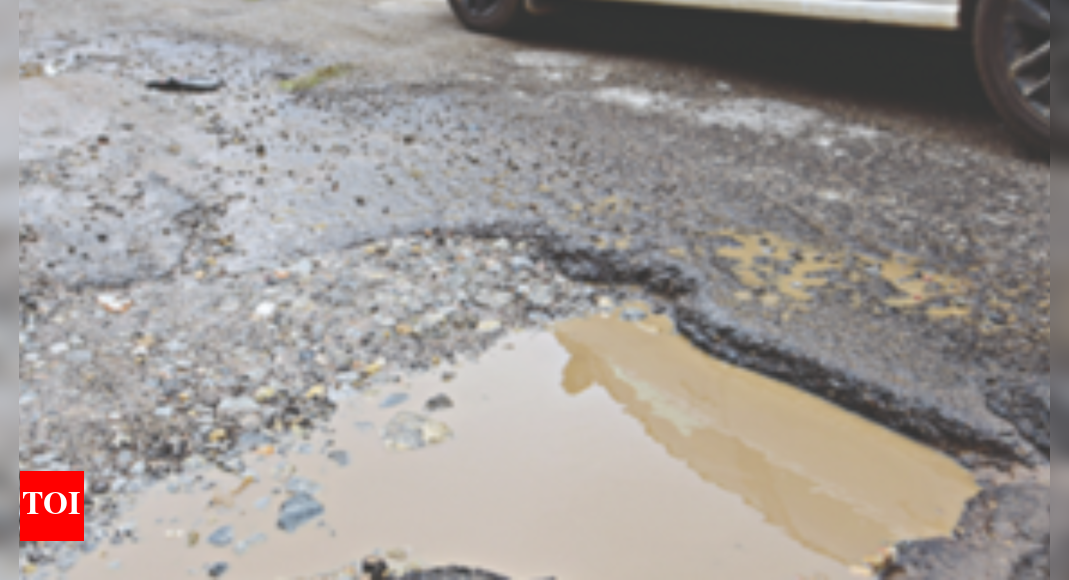 Mangaluru: Man Bathes In Nh Pothole; Video Viral | Mangaluru News ...