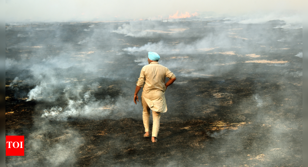 Stubble burning: Bleak winter looms as farmers say no to bio-decomposer ...