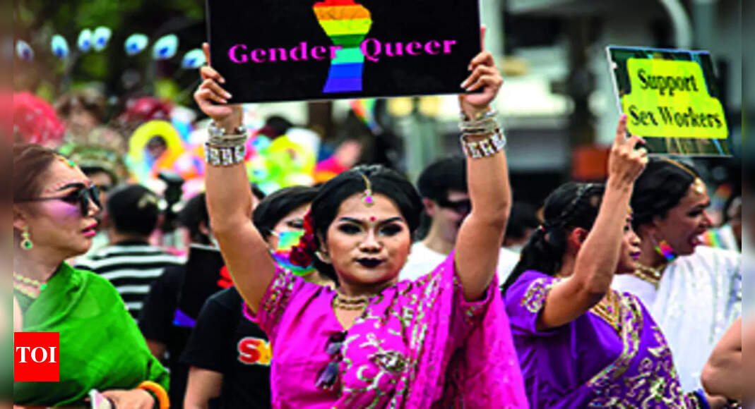 Queer Pride: Queer Pride March On Sunday From Ghadi Chowk | Raipur News ...