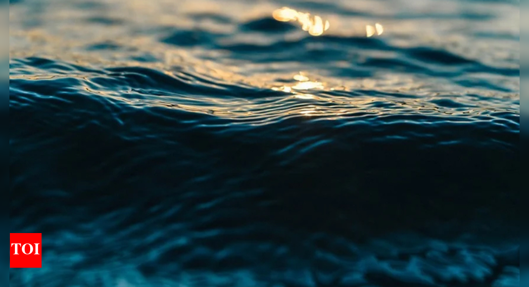 Kscdc: Integrated Aquapark Plan One Step Closer To Reality | Kochi News ...