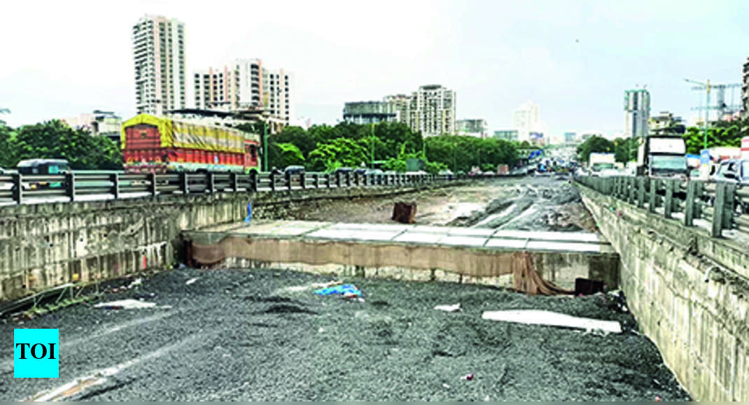 Kopri Rly Bridge Widening Work To Finish By Jan 2023: Sena Mp | Thane ...
