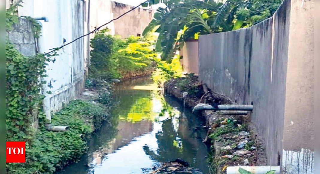 Trichy: Polluted Stormwater Drains In Trichy City Keep Low-lying Areas ...
