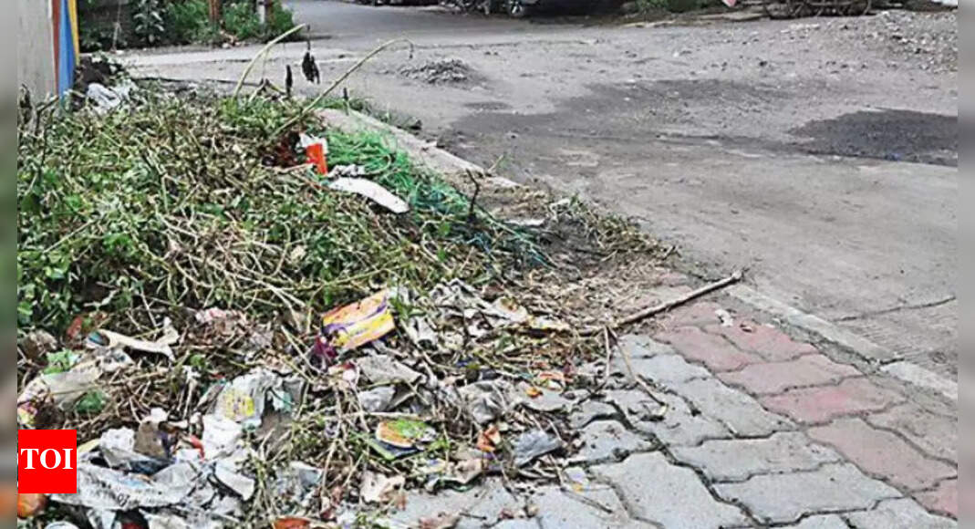 Imc: Garbage Dumped In Open Stains City’s Swachhscape | Indore News ...