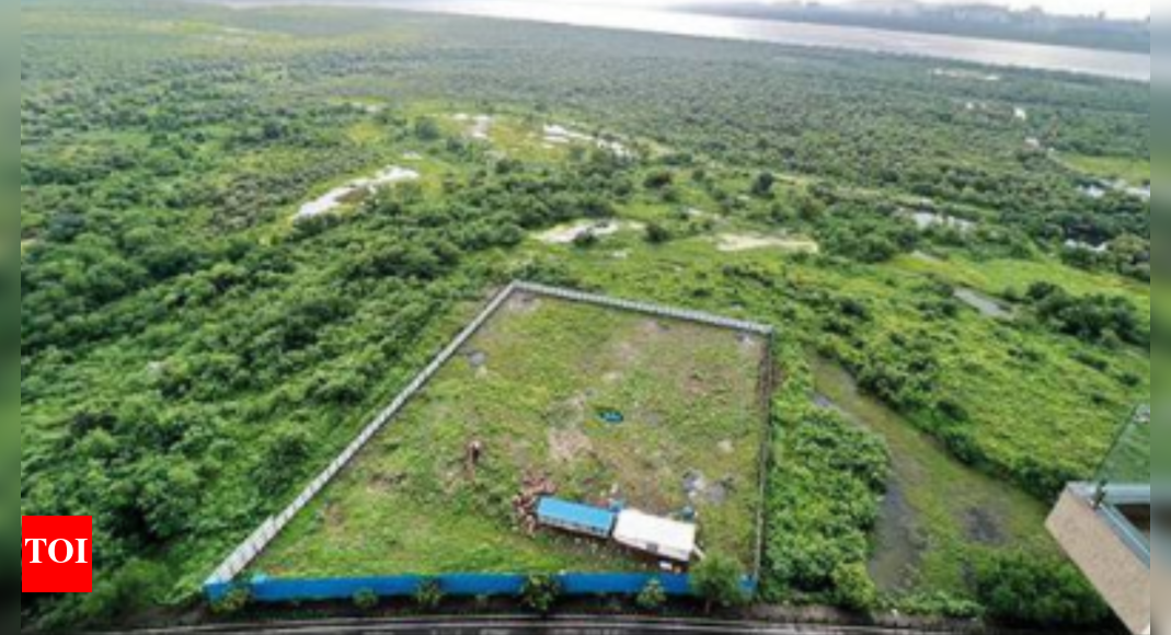 Architects’ Body Demands To Restore Sports Complex | Navi Mumbai News ...