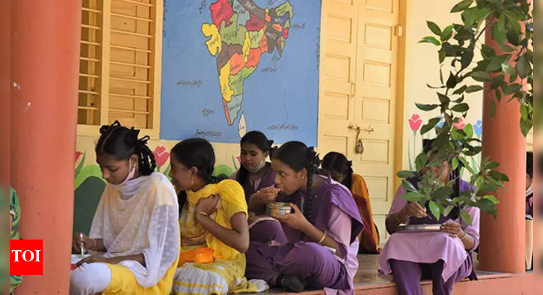 Can India Meet Its Sustainable Development Goals By 2030 Times Of India