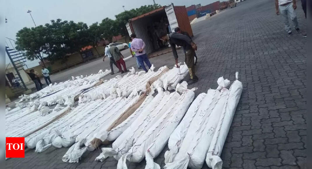 Haryana: Customs and DRI foil Red Sanders smuggling attempt, wood worth ...