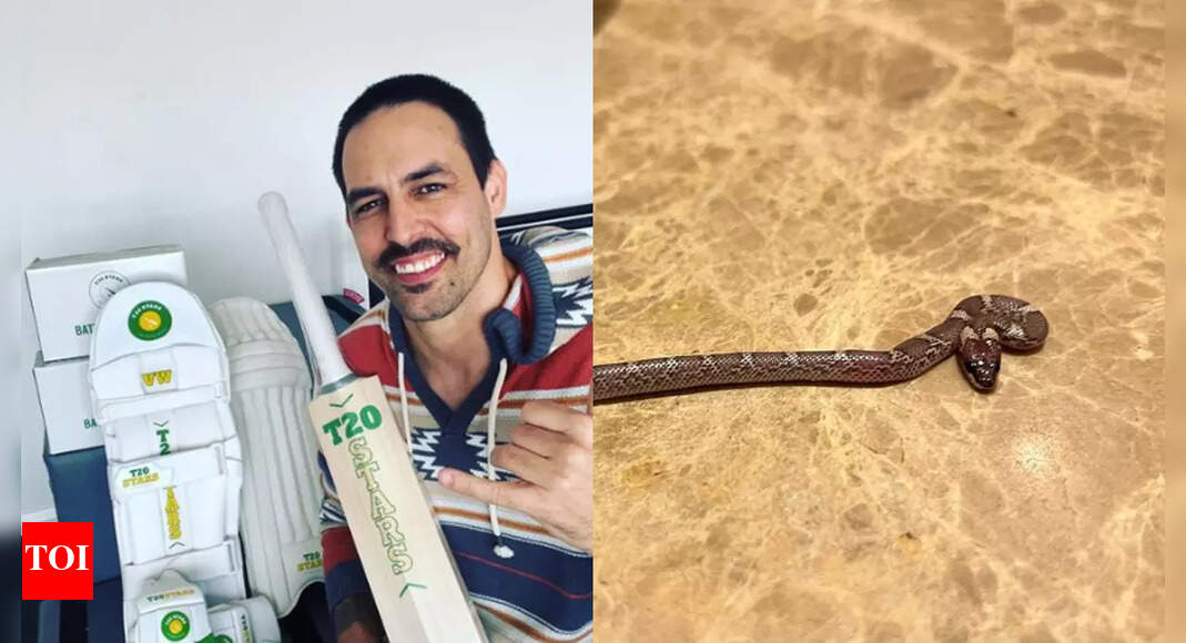 Snake spotted in former Aussie pacer Mitchell Johnson's hotel room in ...