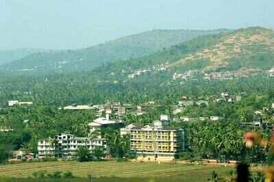 TCP amendments will have adverse effect, says RG | Goa News - Times of ...