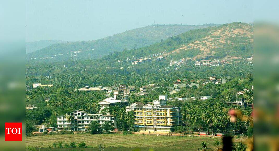 TCP amendments will have adverse effect, says RG | Goa News - Times of ...