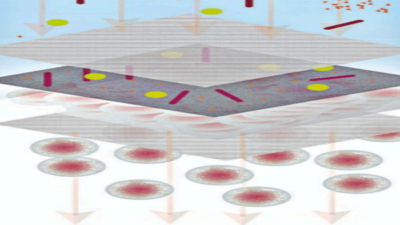 PDEU team develops nanotech patches for burns, wounds | Ahmedabad News ...