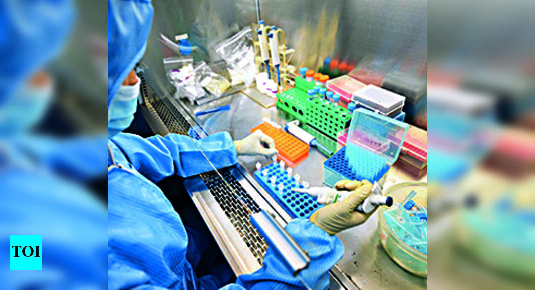 Cusb: Biotechnology Can Help Solve Many Problems: Cusb Vc | Patna News ...