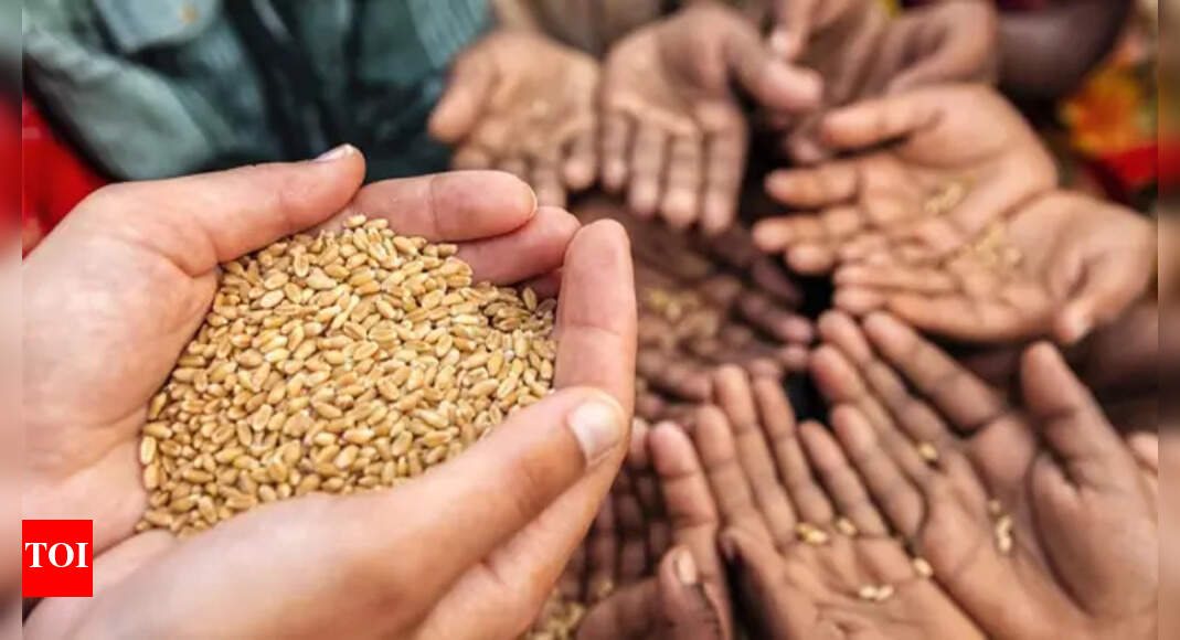 What India is paying for world's biggest free food scheme | India News ...