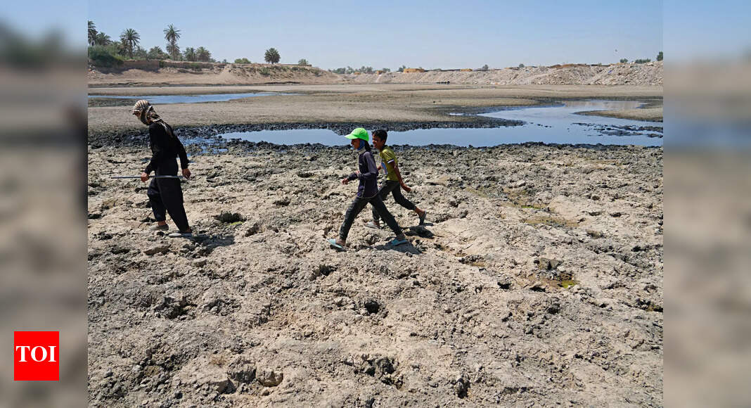 Twilight of the Tigris: Iraq's mighty river drying up - Times of India