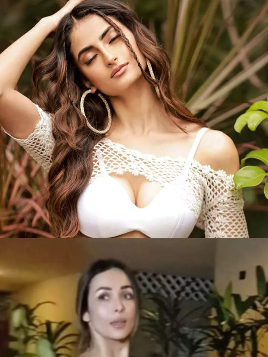 Photos of the day, Sept 21: Palak goes bold, Malaika's hot look and more | Zoom TV