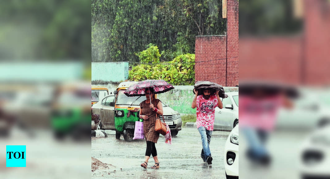 Short Spell Of Rain Showers Pleasant Weather On City | Ludhiana News ...