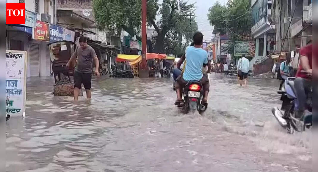 dholpur: Rajasthan Dholpur reels under severe waterlogging after heavy rainfall