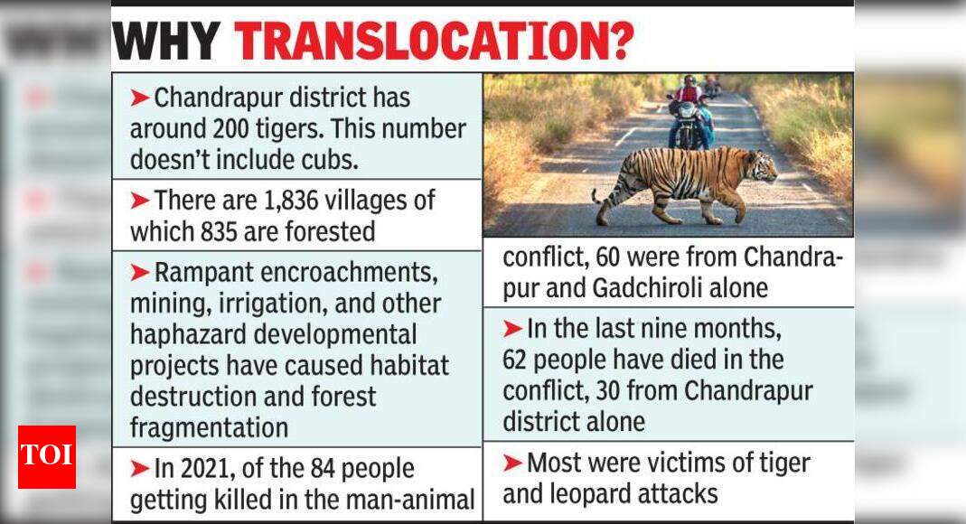 MoEFCC green signal for translocation of 4-5 tigers to Navegaon-Nagzira ...