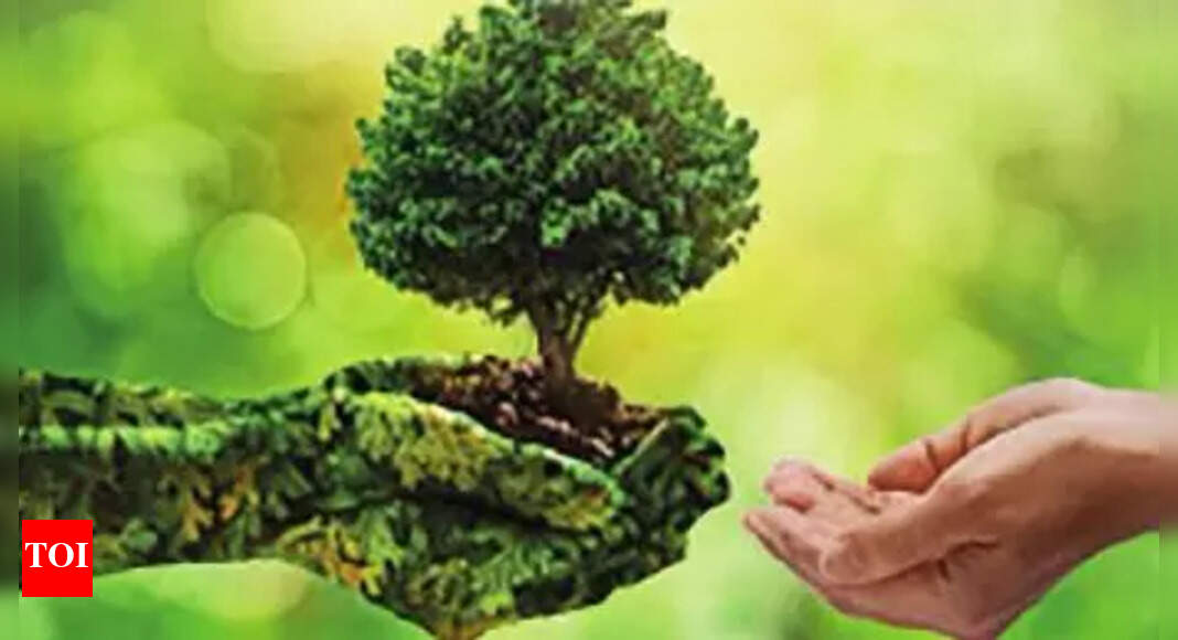 Tech: Why a green culture needs tech - Times of India