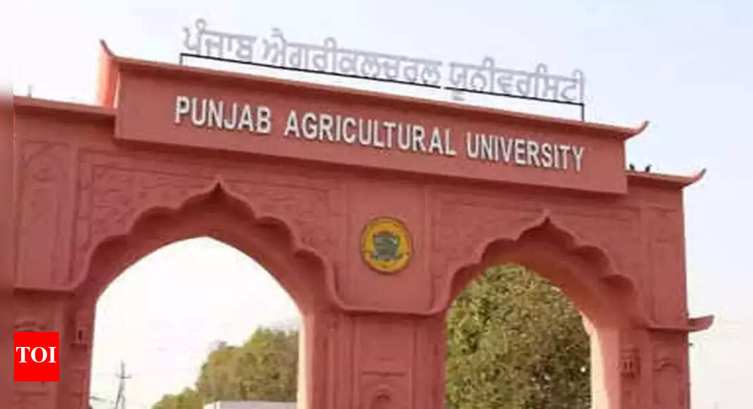 Pau: Pau And Gadvasu Ready For Kisan & Pashu Palan Melas | Ludhiana ...