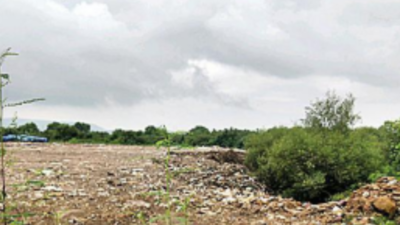 Navi Mumbai: 20 acres of Uran mangroves destroyed for truck parking ...