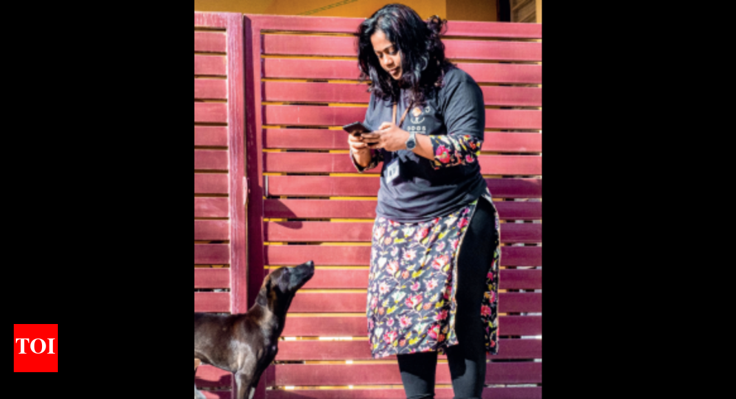 Stray Dog Population Survey Begins Coimbatore News Times Of India Stray Dog Population Survey Begins Coimbatore News Times Of India