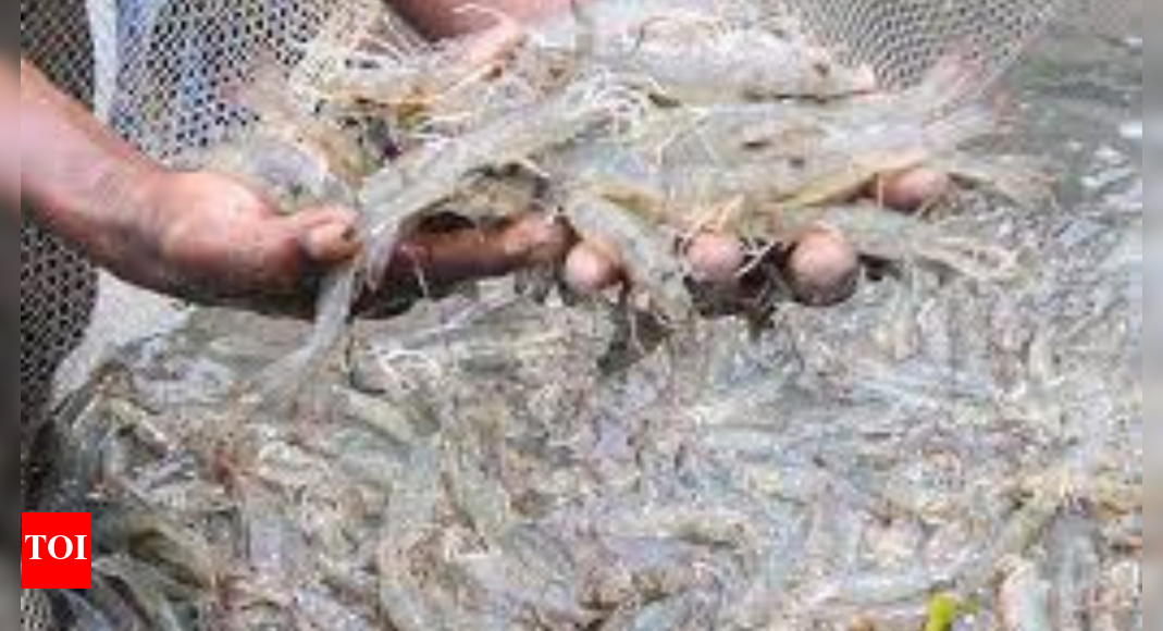 Madhya Pradesh: 5 Countries Ready To Develop Pisciculture In Mp ...