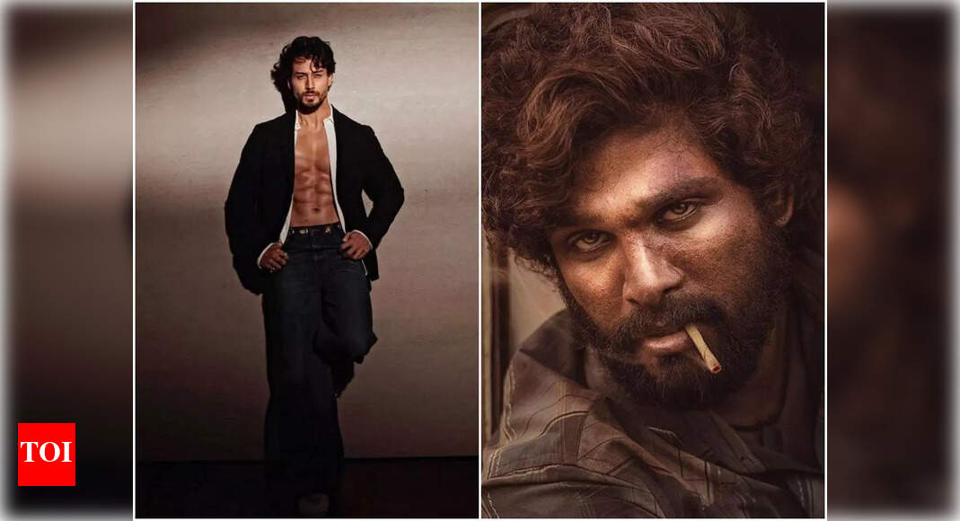 "Allu Arjun is my favourite south Indian actor" - Tiger Shroff on ...