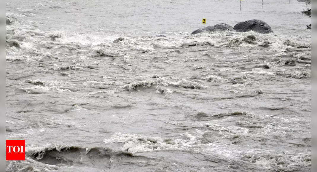 Himachal Pradesh: Three villagers missing, cowshed washed away in ...