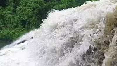 Kovai Kutralam to be opened for tourists | Coimbatore News - Times of India