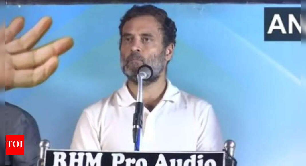 Live Updates: Only reason Ankita Bhandari is dead is that she refused ...