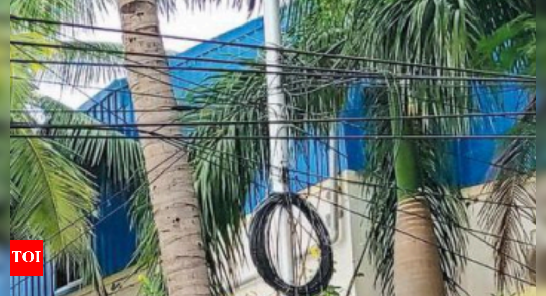 Chennai Corporation: Chennai Corporation To Conduct Cable Clean-up ...