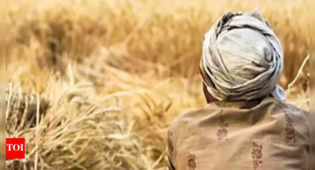 6.83l Landless Farmers Avail Benefits Of Scheme Meant For Land Owners ...