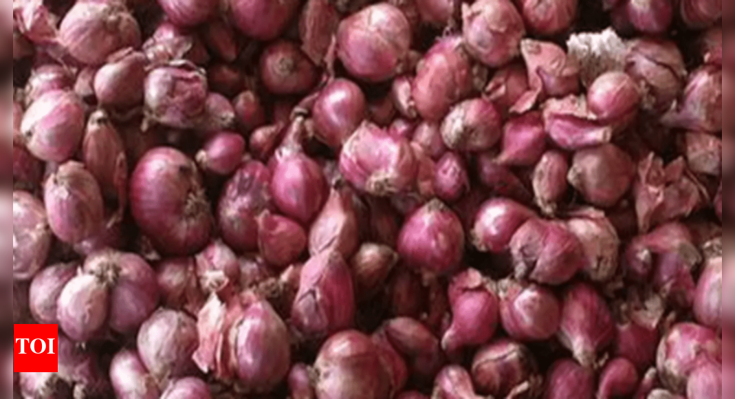 Shallot Will Turn Profitable For Farmers In October, Says Tnau ...