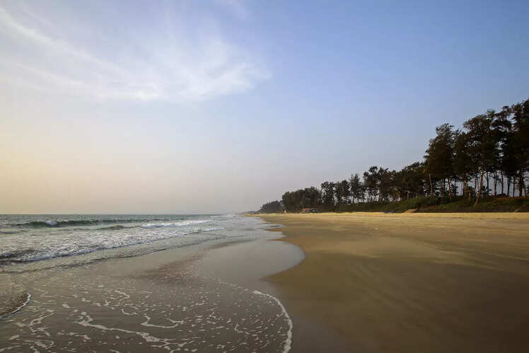 Beaches in India where you can go swimming | Times of India Travel