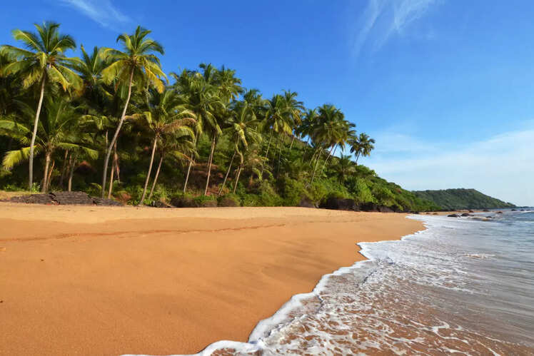 Beaches in India where you can go swimming | Times of India Travel