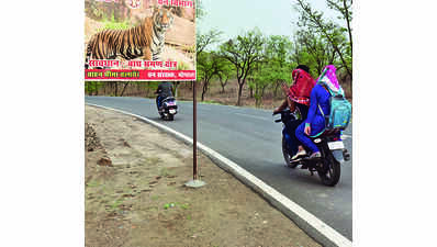 Tiger Sneaks Into Walmi Campus, Foresters On Alert | Bhopal News ...