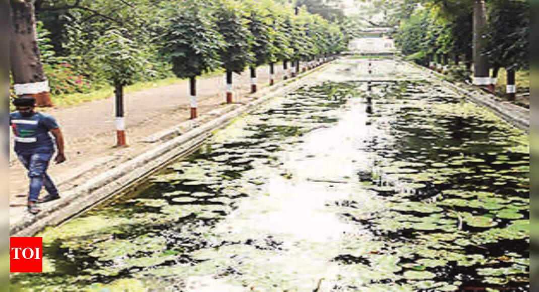 Himayat Bagh: Biodiversity Heritage Tag In Sight For Himayat Bagh ...