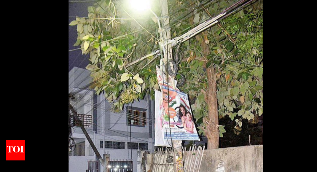 Phulwarisharif: Residents Demand Survey Of Old Trees & Weak Poles ...