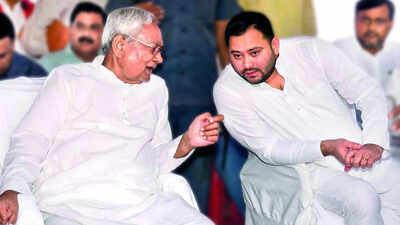 Bihar minister Sudhakar Singh who hit out at Nitish Kumar ‘forced to resign’ | Patna News ...