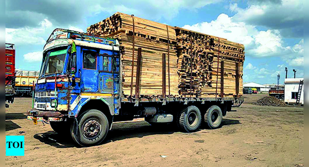 Kandla: 350 Timber-laden Trucks Stranded | Rajkot News - Times of India
