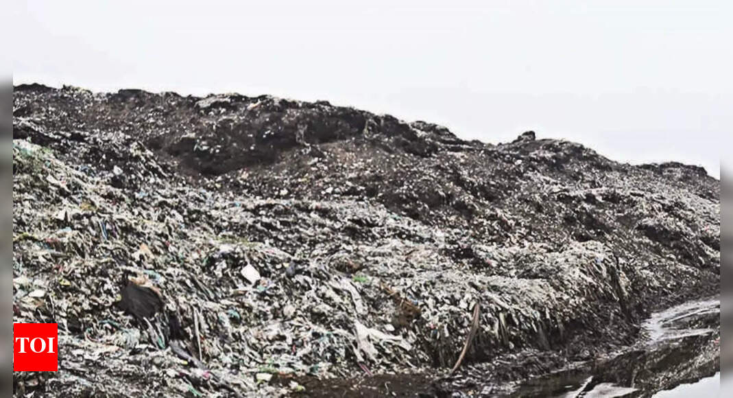 ‘trash Mountain’ Grows As Mc Lags In Waste Mgmt | Ludhiana News - Times ...