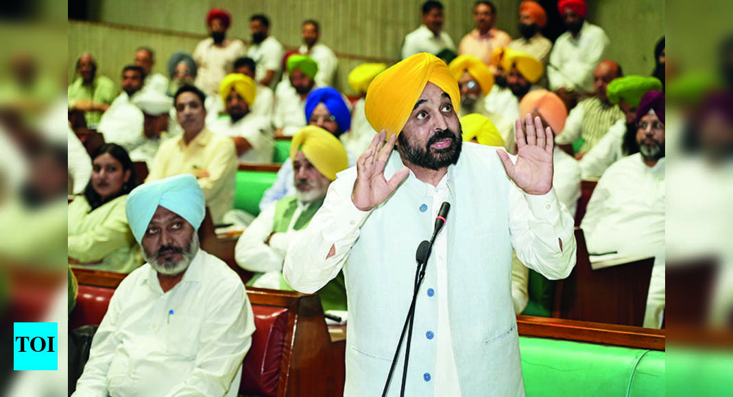 Mann: Mann Govt Wins Trust Vote In Punjab Assembly | Chandigarh News ... Mann: Mann Govt Wins Trust Vote In Punjab Assembly | Chandigarh News ...