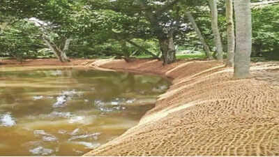 Technopark To Protect Embankment Of Stream | Thiruvananthapuram News ...